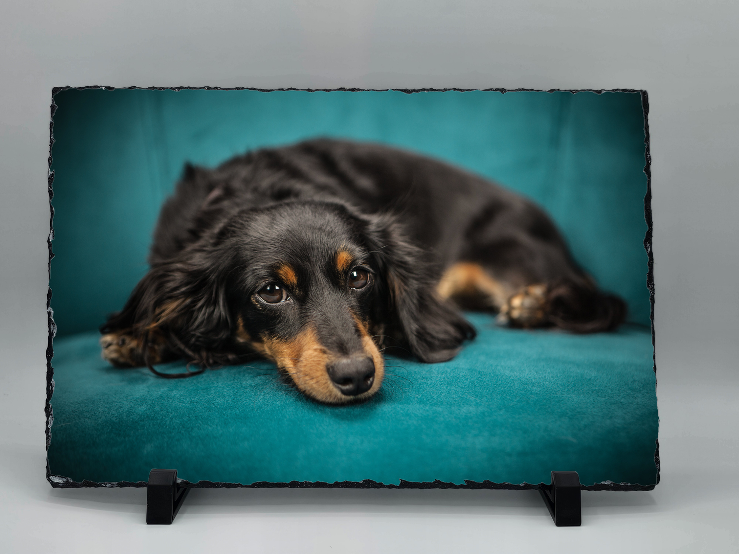 Dog Photo Slate – Glossy Images