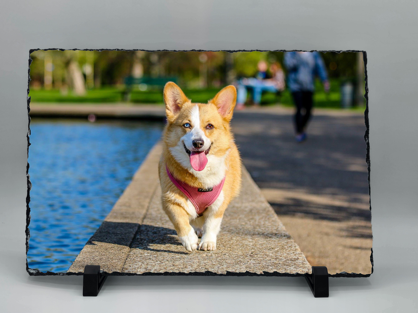 Dog Photo Slate – Glossy Images